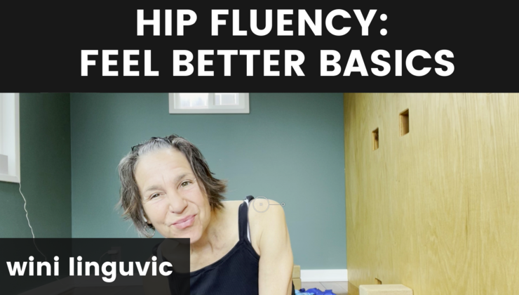 HIP FLUENCY BASICS | The Elevate Practice