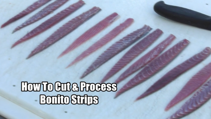 How to Cut & Process Bonito Strips | The Crew Platform