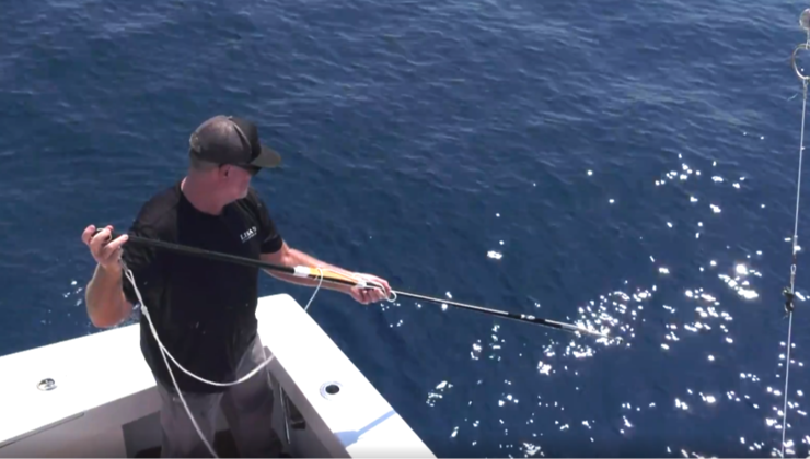 How to Throw a Harpoon | The Crew Platform