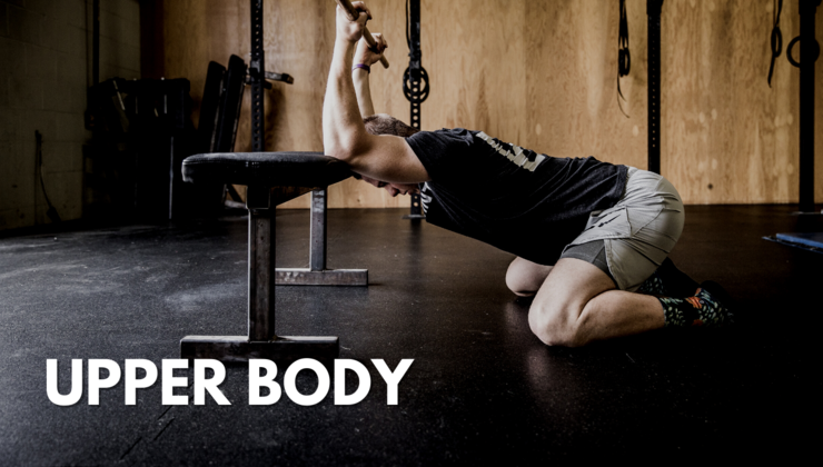 UPPER BODY