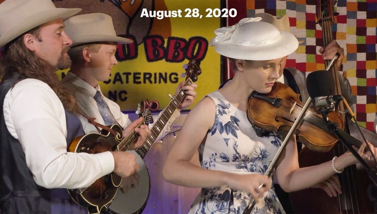 Pro fiddler | WORLD Watch