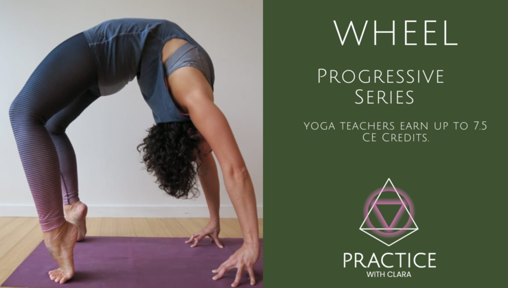 Wheel Pose | 7.5 CE hours with Yoga Alliance