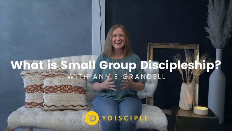 What is Small Group Discipleship?