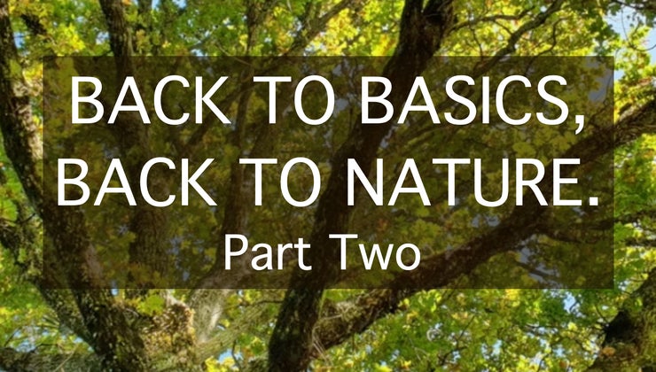 BACK TO BASICS, BACK TO NATURE - PART TWO: Children’s social ...