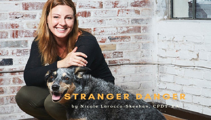 Stranger Danger: Management and Modification Strategies for Dogs Who ...