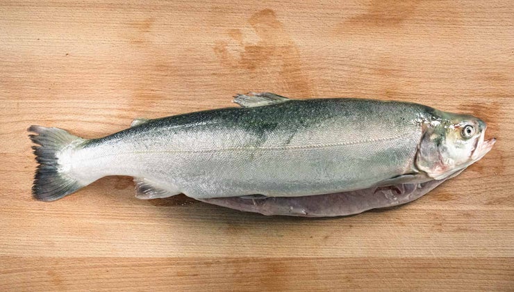 THE GOLDEN CIRCLE - Saibling filetieren