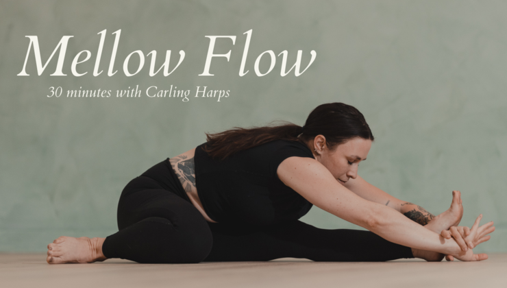 Pigeon Pose Mellow Flow Pigeon Pose Mellow Flow