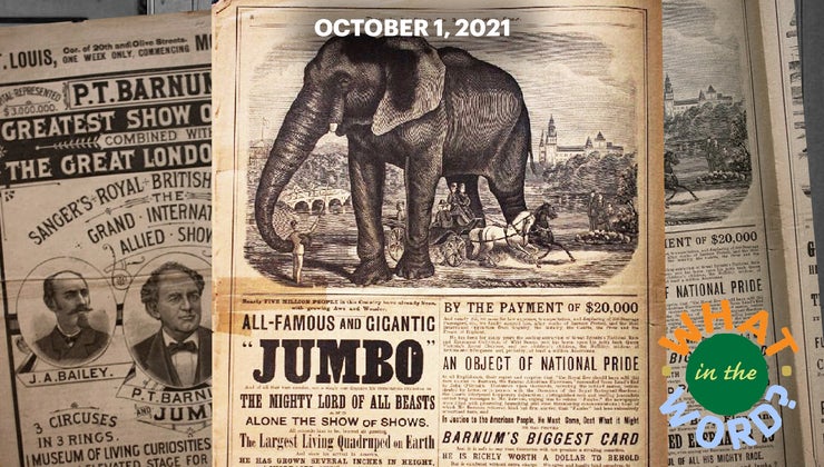 What In The Word: Jumbo | WORLD Watch