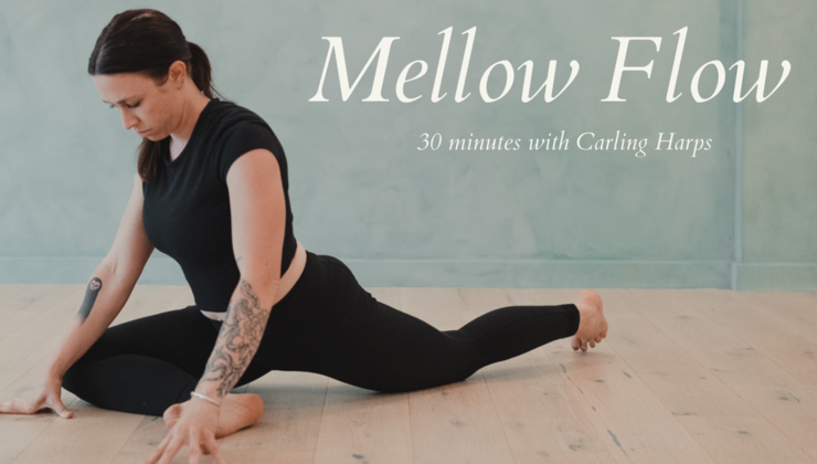 Hips & Hamstrings Mellow Flow