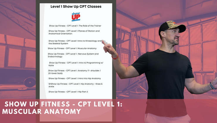 Show Up Fitness - CPT Level 1: Muscular Anatomy