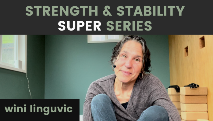 Strength & Stability Super Starter | The Elevate Practice