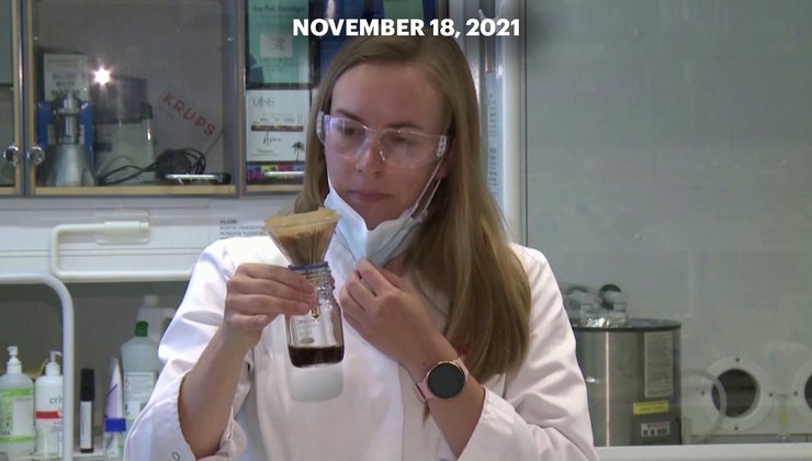 Lab Grow Coffee | WORLD Watch