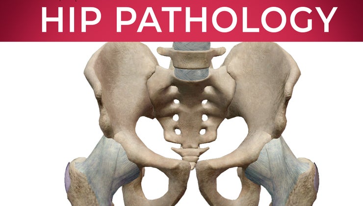 HIP PATHOLOGY SERIES with Kristin Williams | LYT Yoga