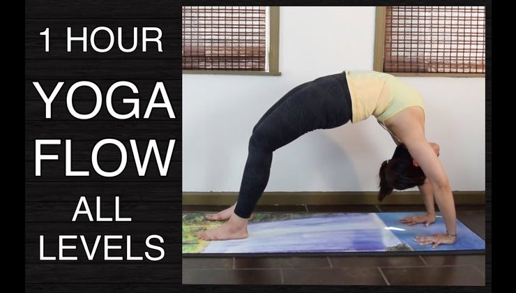 1 Hour Vinyasa Flow Yoga for All Levels - Wheel Pose | Yoga Upload Plus