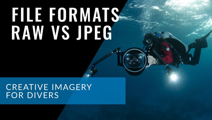 File Formats: RAW vs JPEG in Underwater Photography