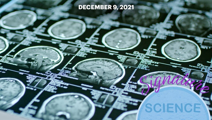 Signature Science: Tools and Language | WORLD Watch