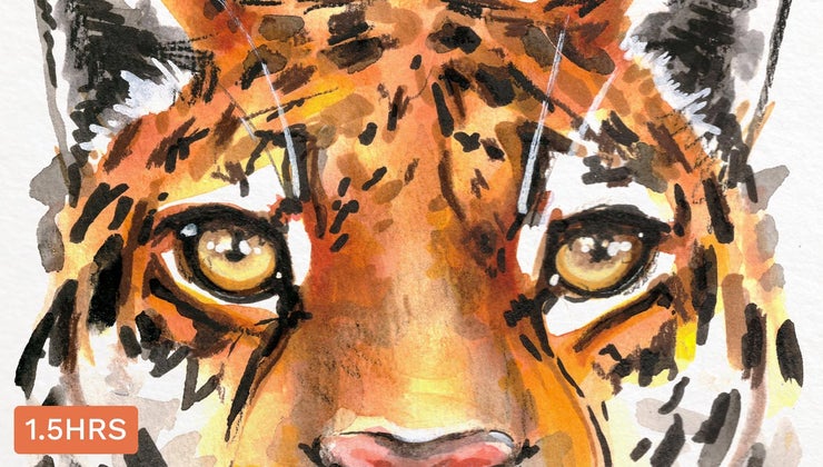 Animal Illustrations with Mixed Media