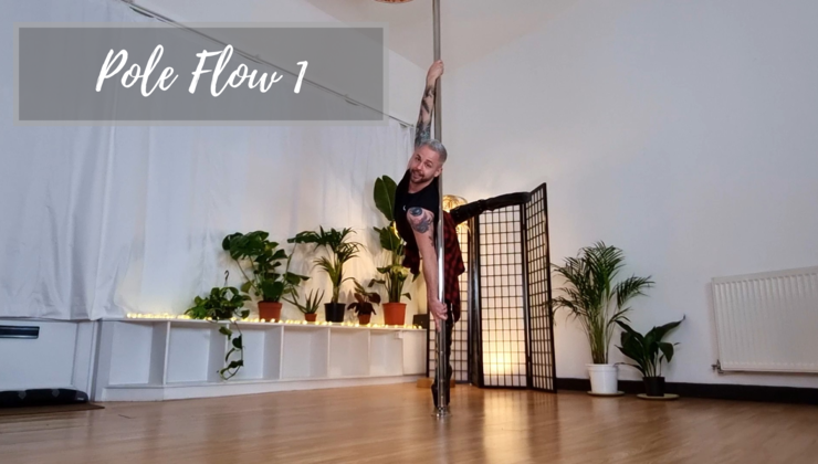 Pole flow 1 | The Pole Wizard