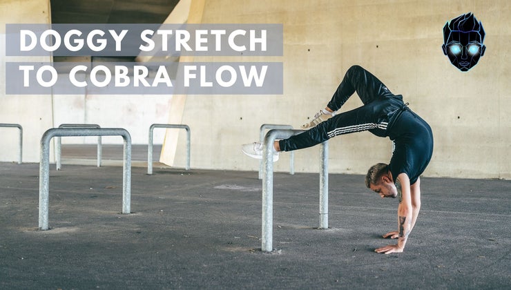 Doggy Stretch To Cobra Flow | The Pole Wizard