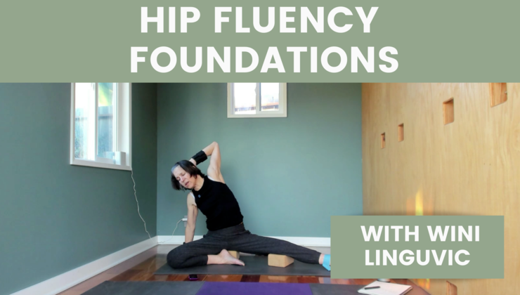 Hip Fluency Foundations | The Elevate Practice