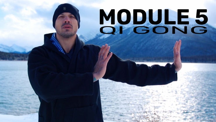 MODULE 5 - QI GONG | Budo Brothers TV