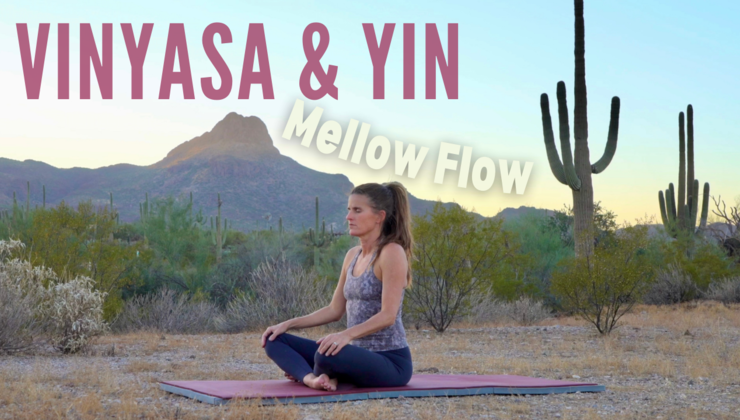 Mellow Vinyasa and Yin (40 Min) | Devi Daly Yoga