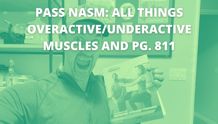 PASS NASM: ALL THINGS OVERACTIVE/UNDERACTIVE MUSCLES AND PG. 811