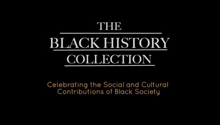 The Black History Collection | ibex
