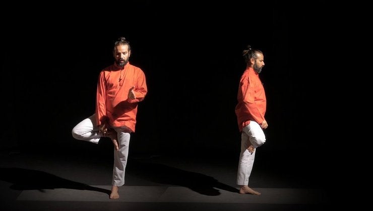 Fig Tree Pose Library Pose Akhanda Yoga Class Online