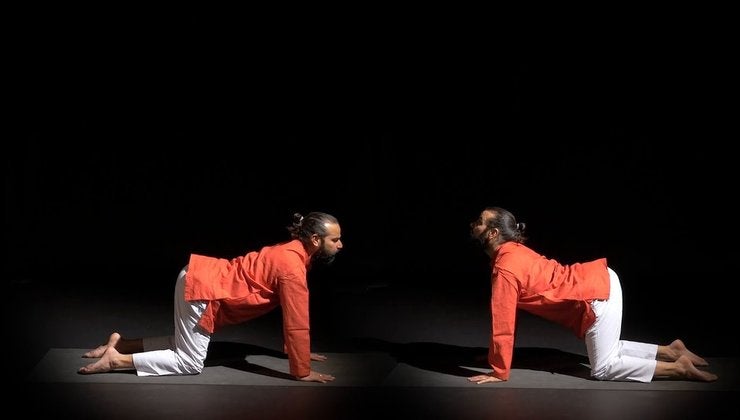 Cat Pose Library Pose Akhanda Yoga Class Online