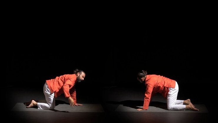 Twisting Cat Pose Library Pose Akhanda Yoga Class Online