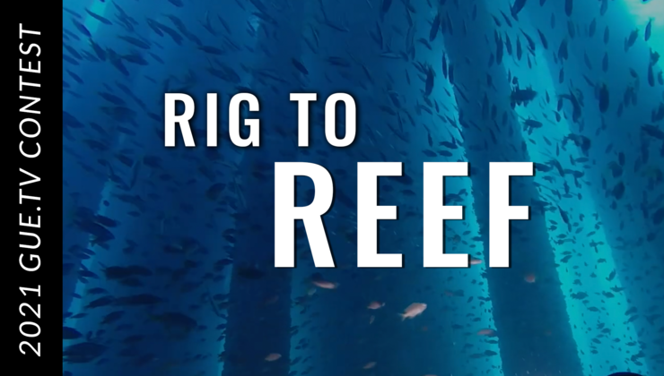 The Ecological Value of Oil Platforms as Artificial Reefs