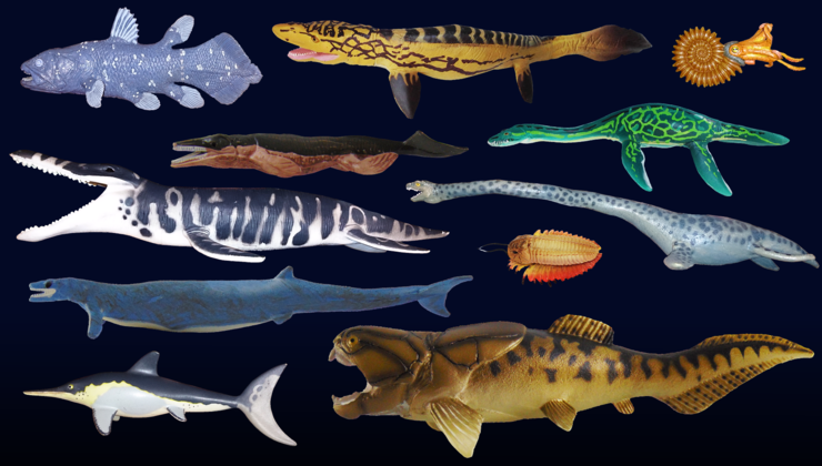 Prehistoric Sea Life | The Kids' Picture Show
