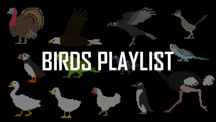 Birds Playlist | The Kids' Picture Show