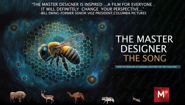 The Master Designer - The Song | ExploreFlix