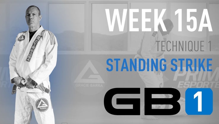 Week 15 - Class A - Technique 1 GB1