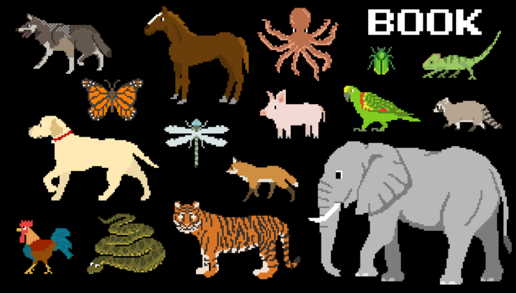 Animals Book Version Collection | The Kids' Picture Show