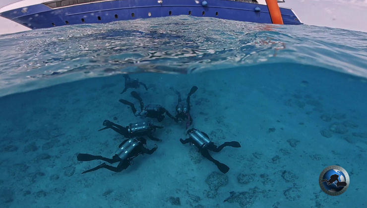 Buoyancy Control for a Better Diving Experience: Expert Tips