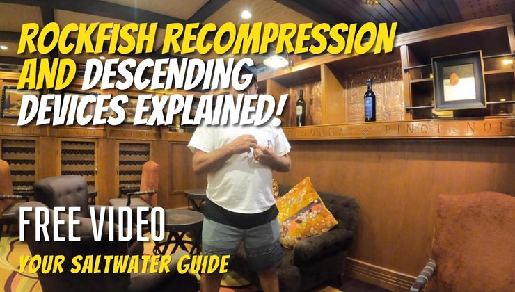 Rockfish Recompression and Descending Devices Explained | Your ...