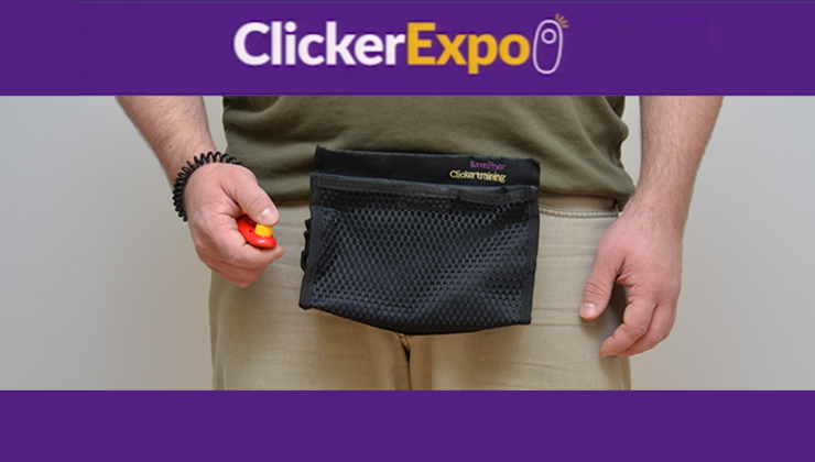 A Moment of Science: Clicker training 101 - (Part 1) | Video on Demand ...