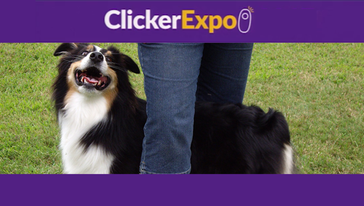 Loopy Training: Efficiently Teach Complex Behaviors | Video on Demand by Karen Pryor Clicker ...