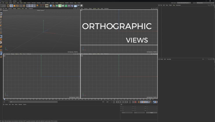 The differences between Orthographic and Perspective views?