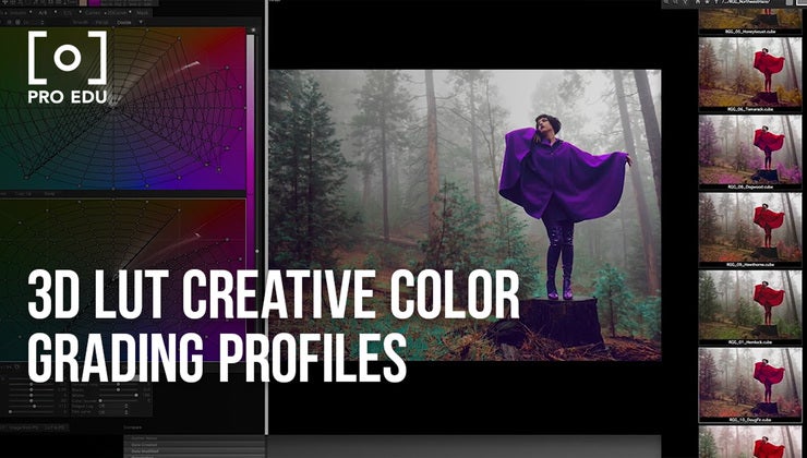 3D LUT Color Grading Profiles For Adobe | Master Collection
