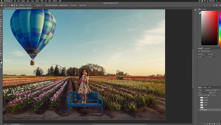Selection Tools You Need to Know About - Photoshop | PRO EDU