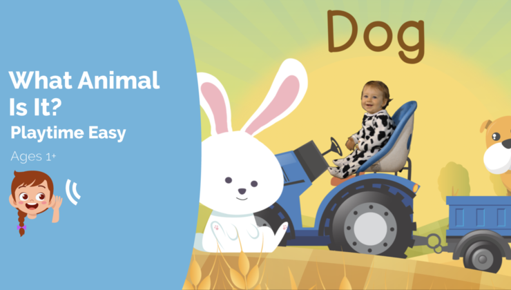 What Animal Is It? (Playtime)