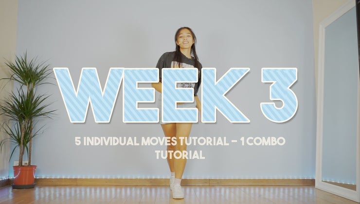 WEEK 3
