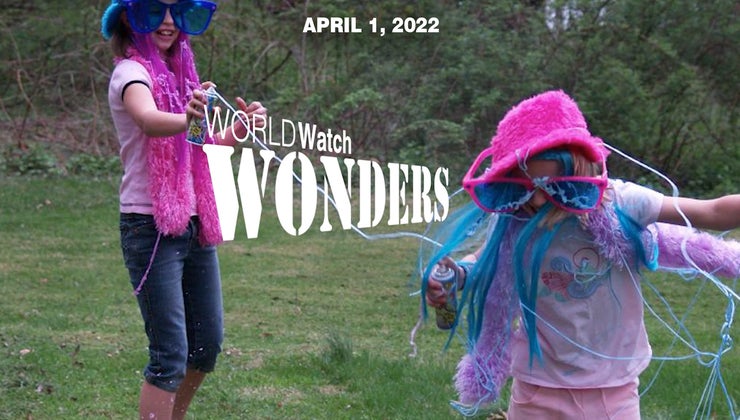 Silly String | WORLD Watch