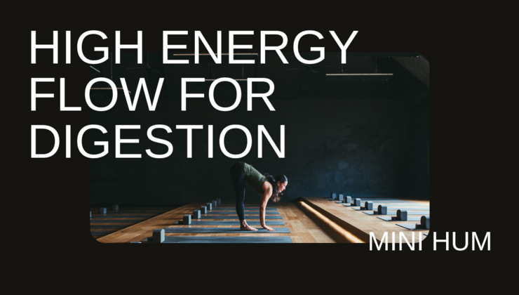 High Energy Flow for Digestion with Rose