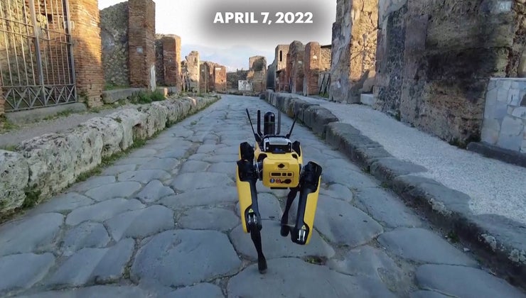 Pompeii Guard Dog | WORLD Watch