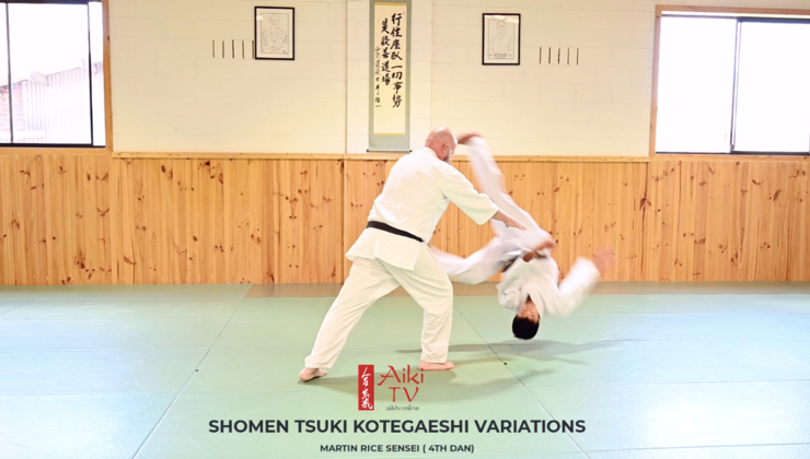 Kotegaeshi Variations From Ushiro Ryote Mochi Aikitv